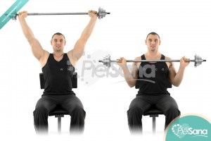 Seated Barbell Press