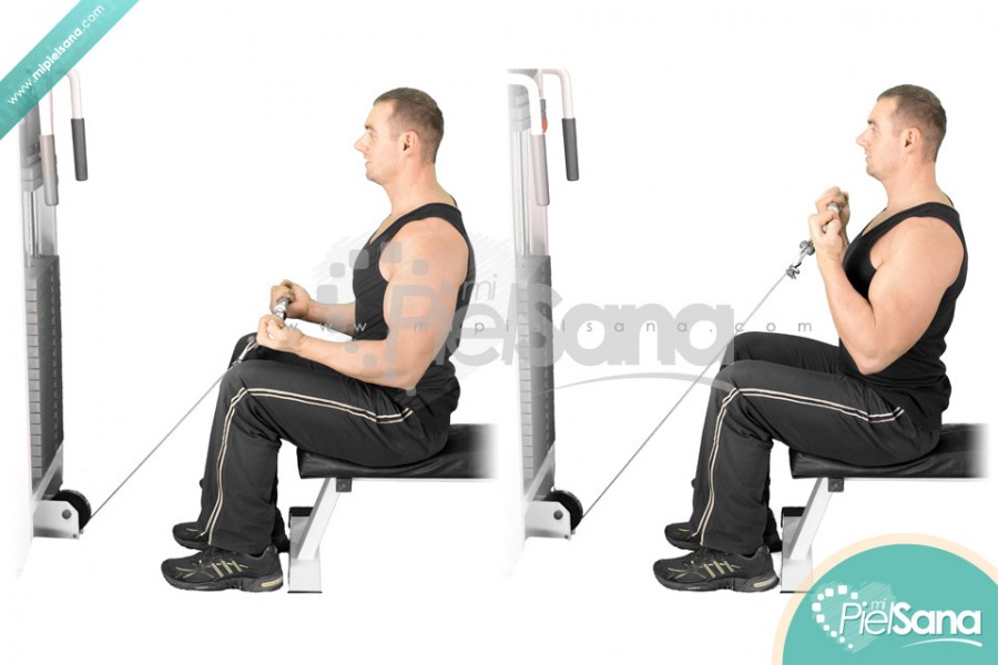 Seated Cable Curl