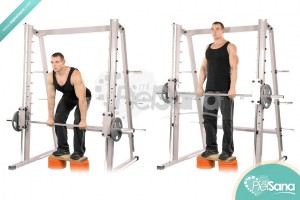 Smith Machine Stiff Leg Deadlift