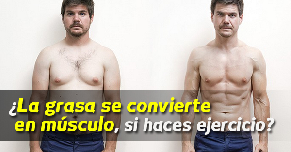 ¿La grasa se convierte en músculo, si haces ejercicio?