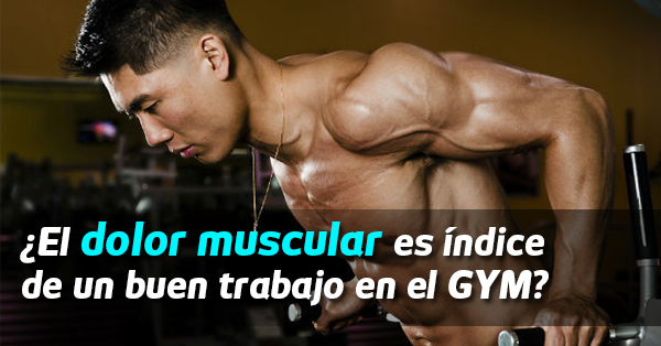 ¿El dolor muscular es índice de un buen trabajo en el GYM?