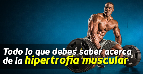 Todo lo que debes saber acerca de la hipertrofia muscular